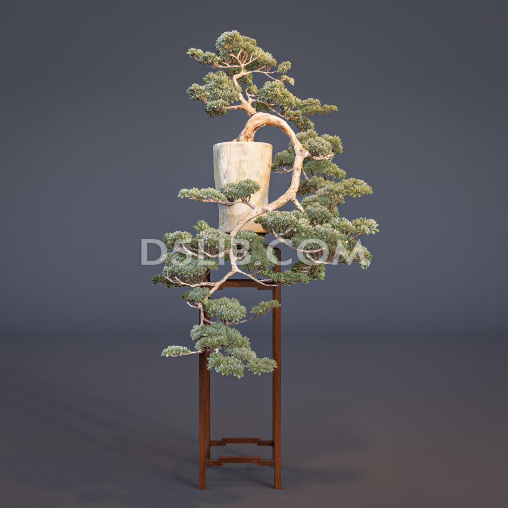 Free D5 Models 08 Download