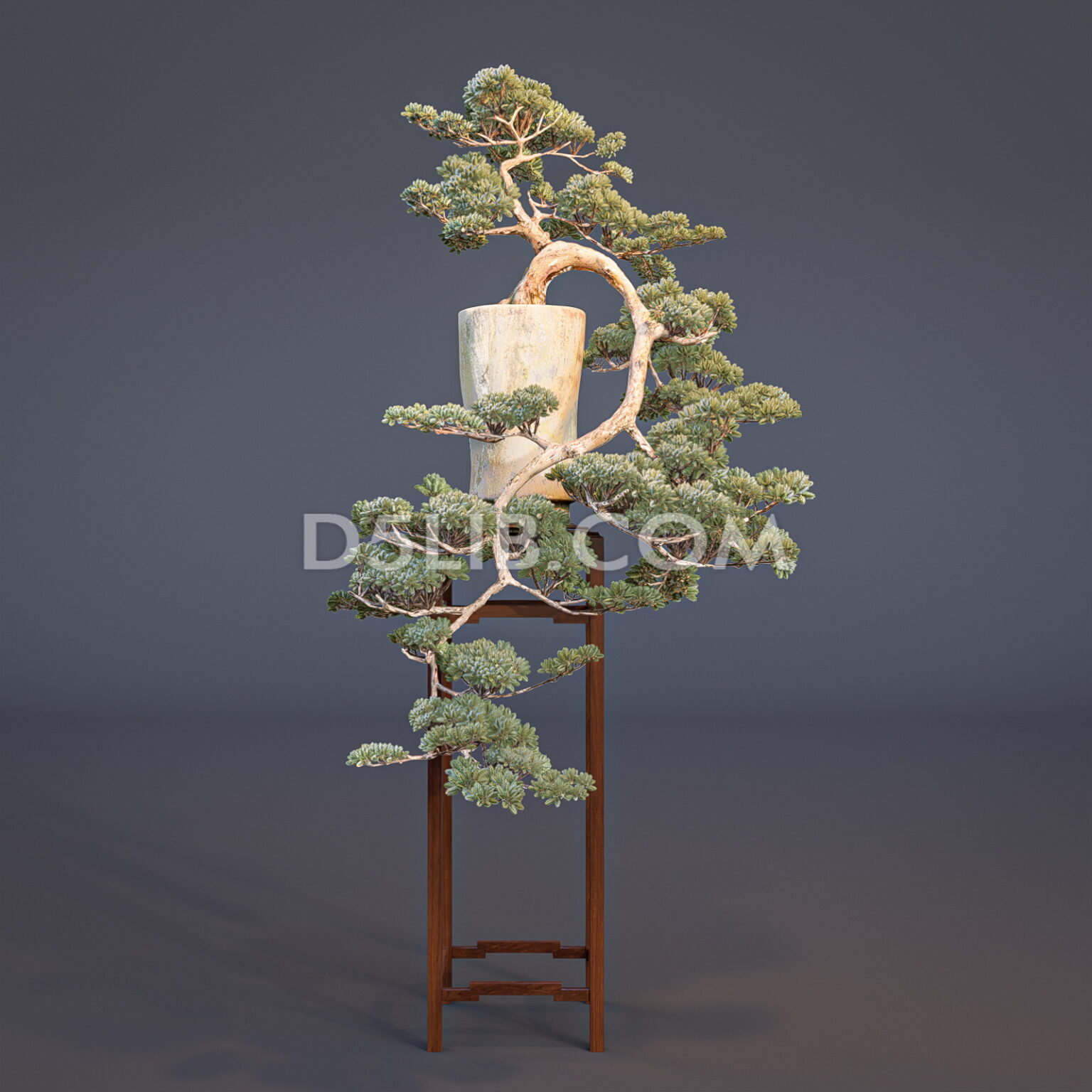 Free D5 Models 08 Download