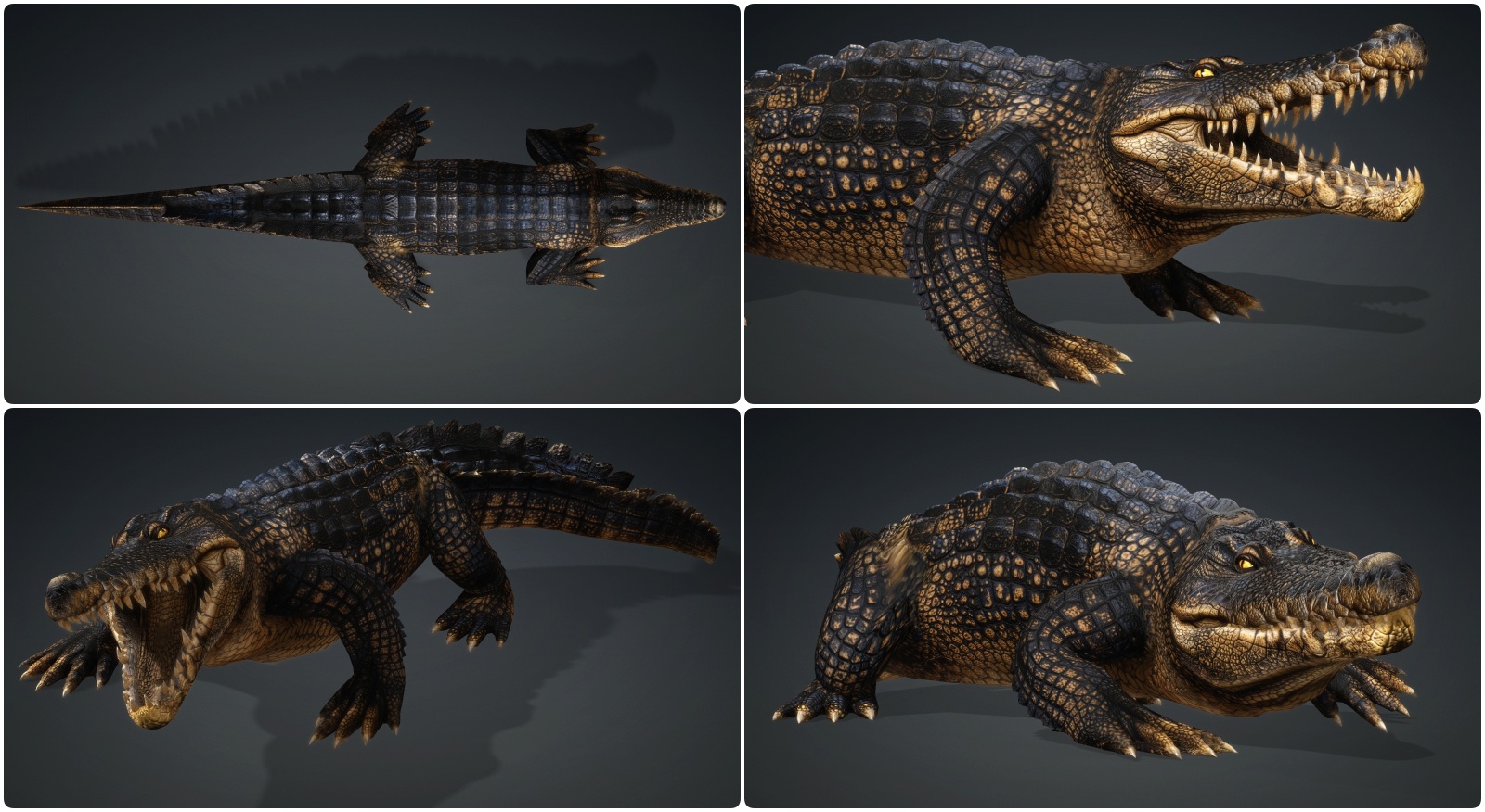 D5lib Animated Crocodile