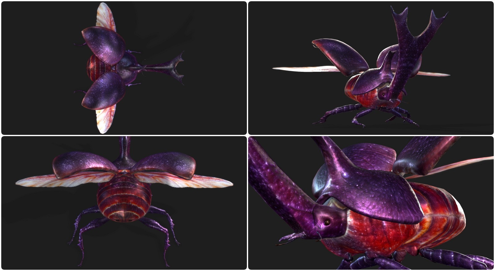 D5lib Animated Rabbit